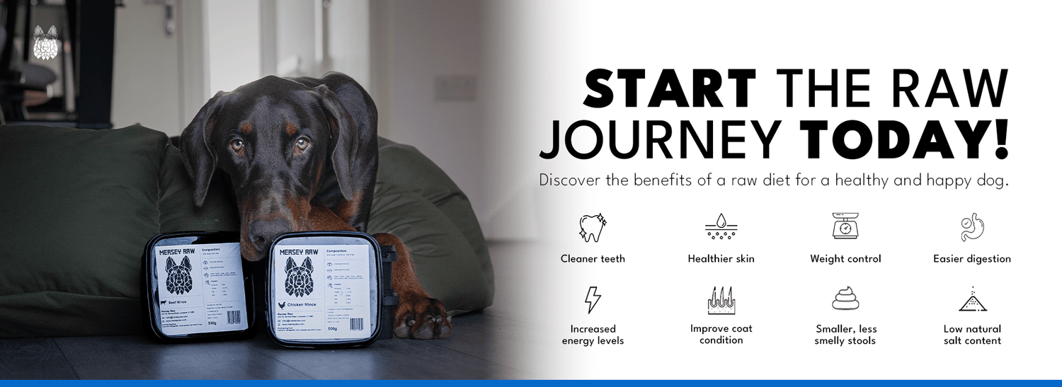 Premium Raw Dog Food - Next Day Delivery – Mersey Raw Dog Food